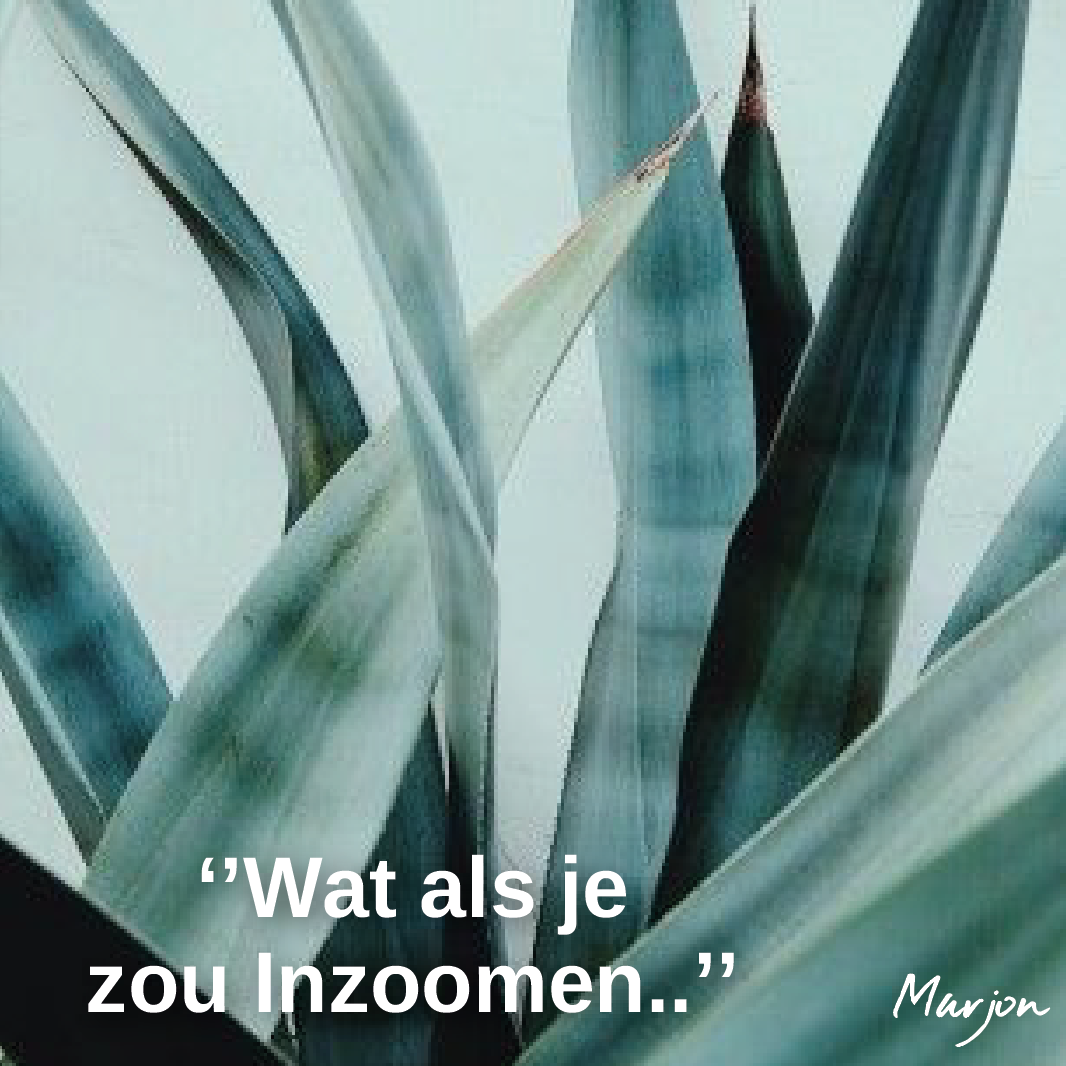 Inzoomen…. – Move2B Coaching